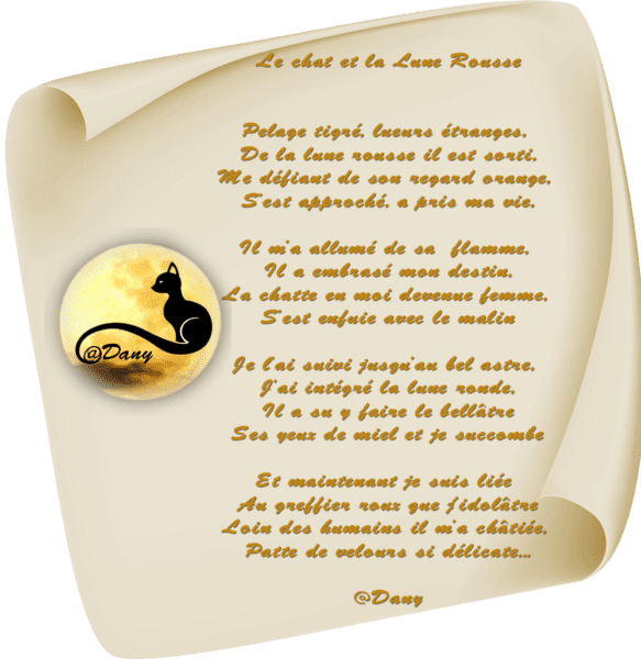 Le Chat et La Lune Rousse – Dany DELCROIX | Plume de Poète