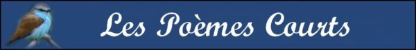 Les Poèmes Courts - Plume de Poète