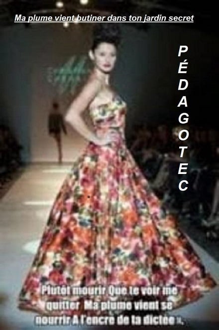 Ma plume vient butiner dans ton jardin secret – Brahim Boumedien ...