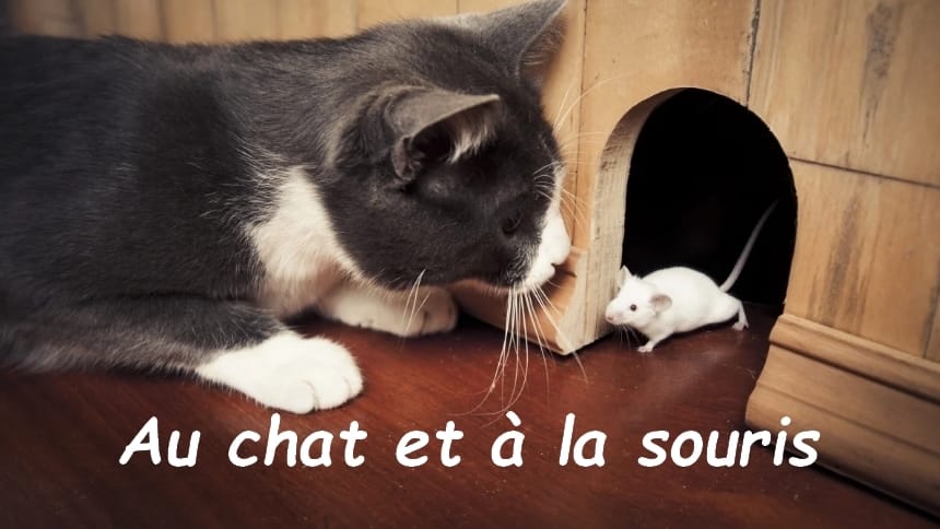 Au chat et à la souris - Jean-Marie Audrain - Plume de Poète